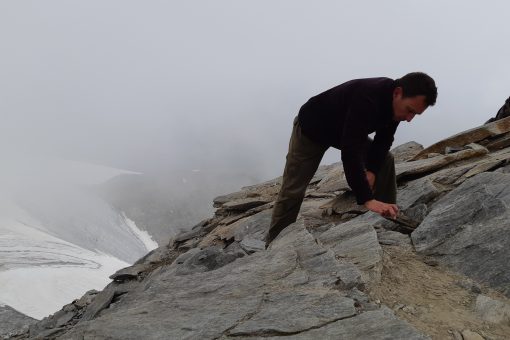 Team - Biodiversity Monitoring South Tyrol