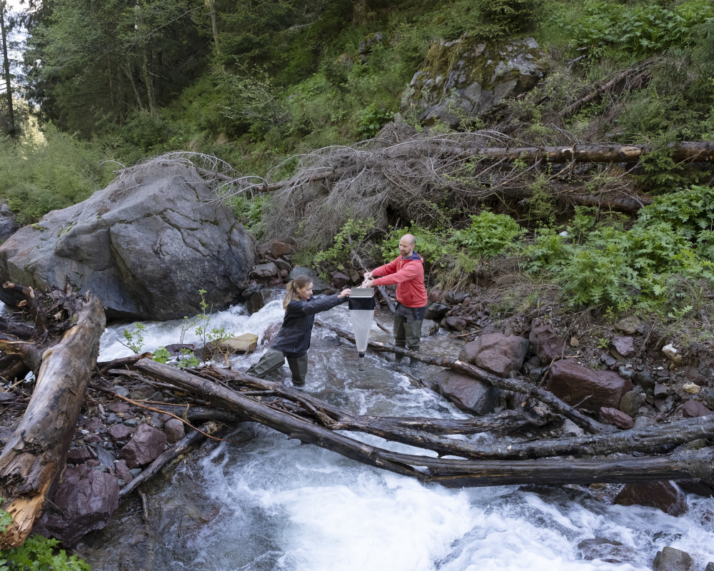 Colloquium of the Platform Biodiversity: Rivers of science ...