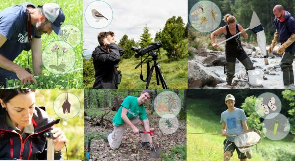 Colloquium of the Platform Biodiversity - Biodiversity hotspots at risk ...